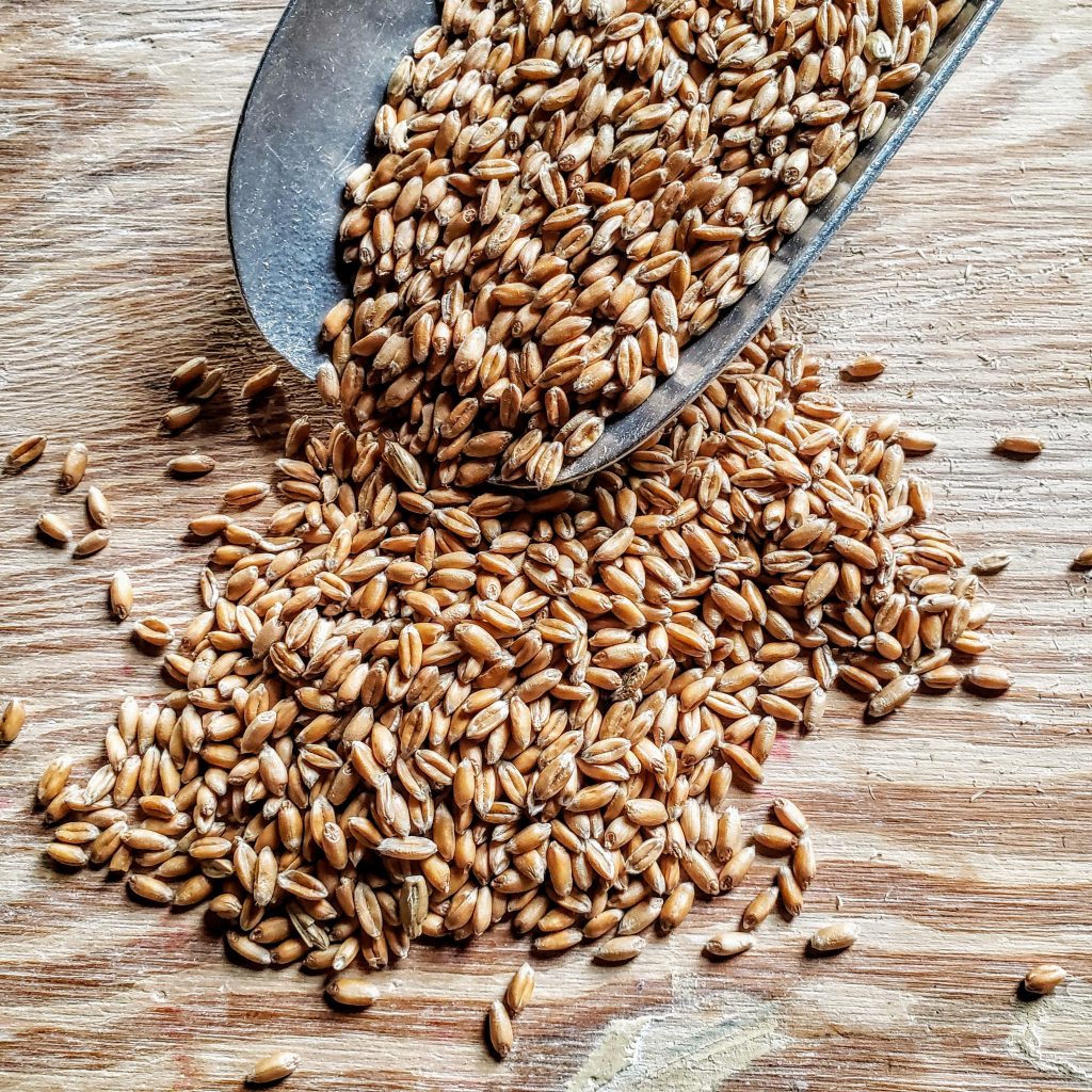 Spelt Flour - Wades Mill