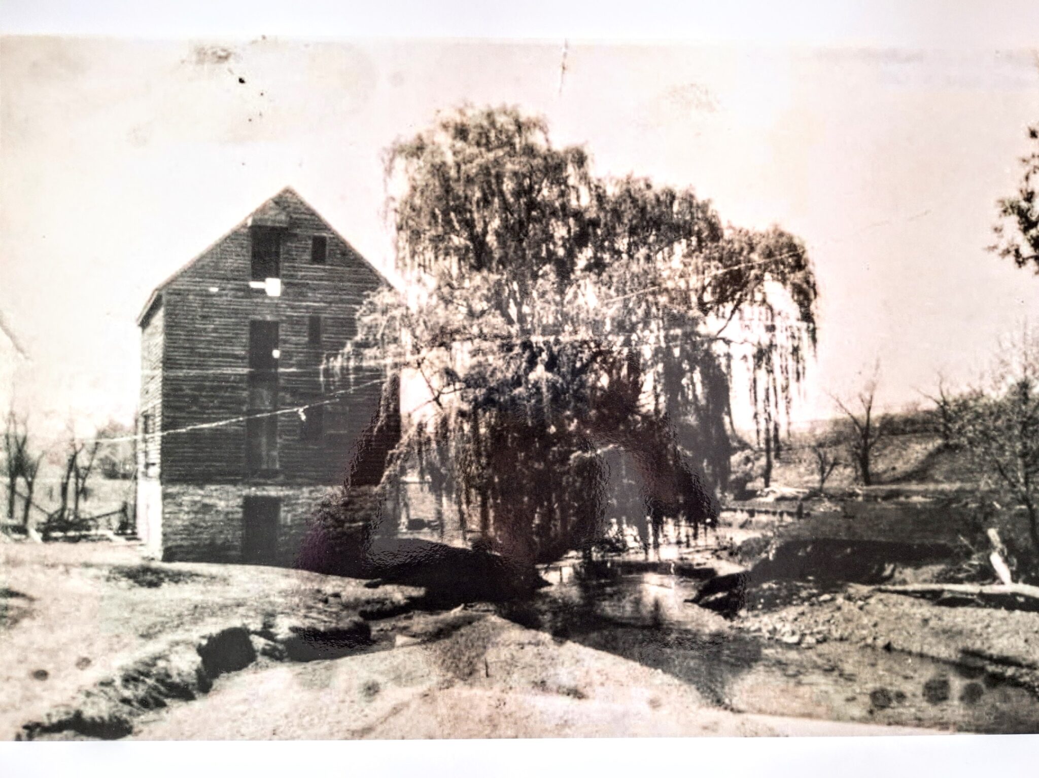 New Owner/Miller at Wade's Mill - Wades Mill